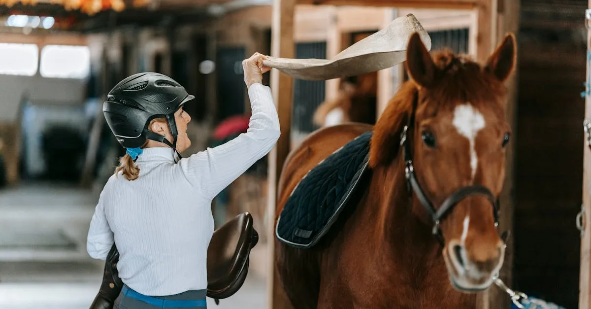 Comment préparer un cheval pour une randonnée de plusieurs jours ? - Le ...