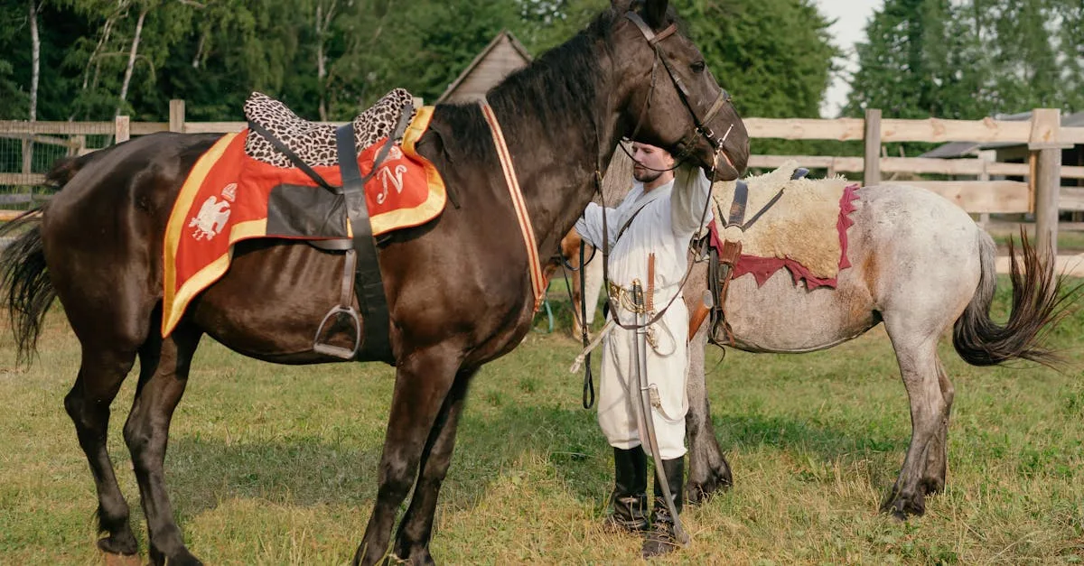 Surfaix cheval : comment bien le choisir et l’utiliser en travail à ...
