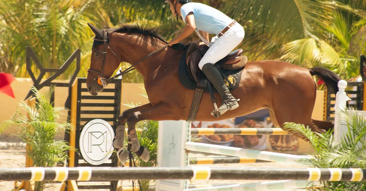 Cheval fourchette pourrie : comment réagir vite et bien pour éviter les ...